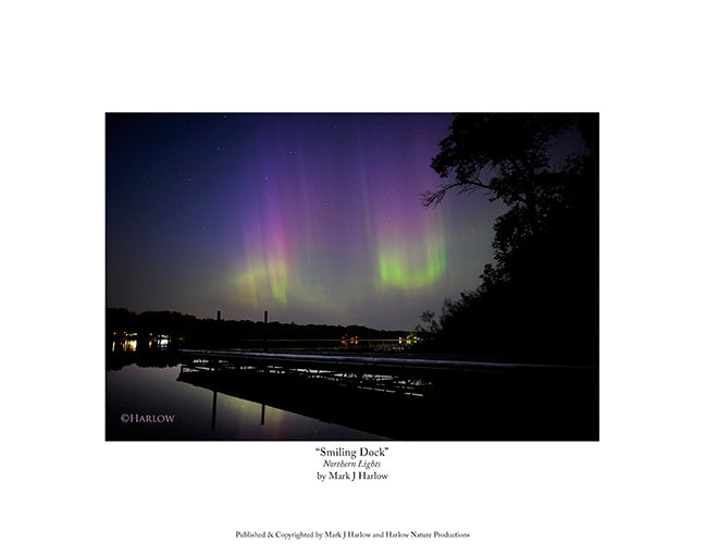 "Smiling Dock" Unique Aurora Picture - Print – harlownature.com