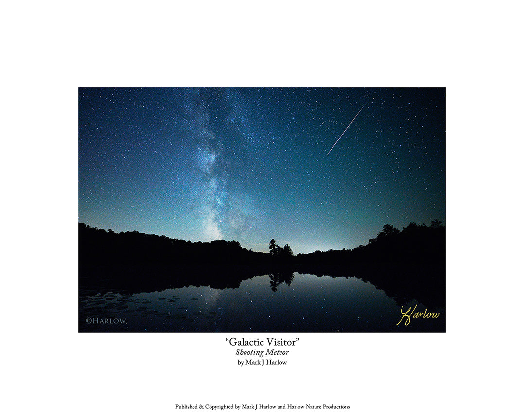 "Galactic Visitor" Amazing Meteor - Milky Way Picture - Print ...