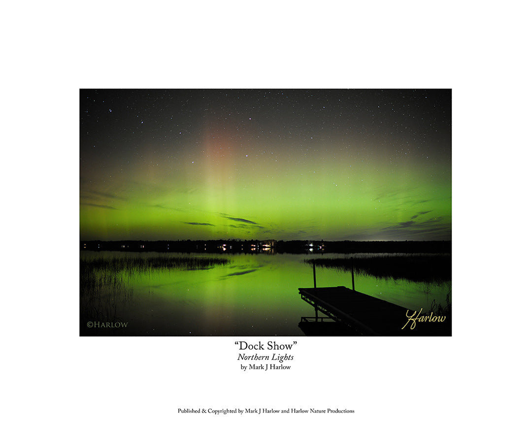 "Dock Show" Northern Lights Picture – harlownature.com