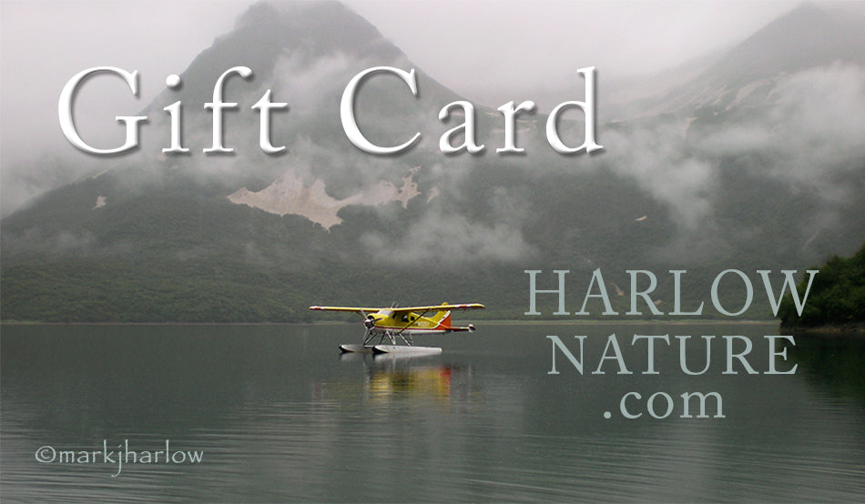 Gift Certificate - Alaska Float Plane – harlownature.com