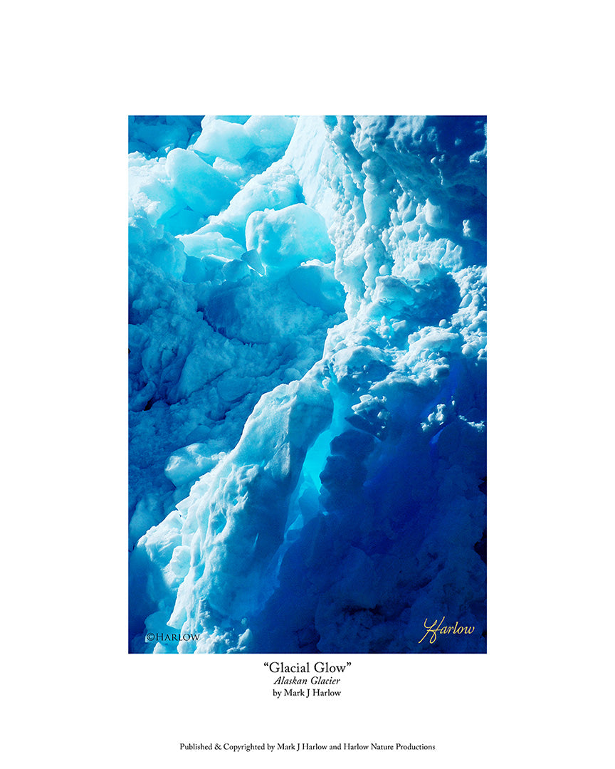 "Glacial Glow" Unique Alaska Glacier Picture - Print – harlownature.com